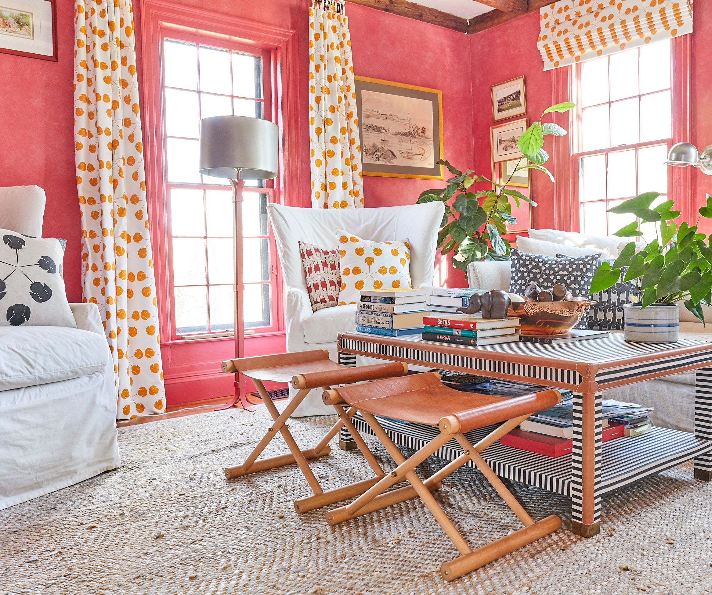 Collections – Laughing Gull Hill